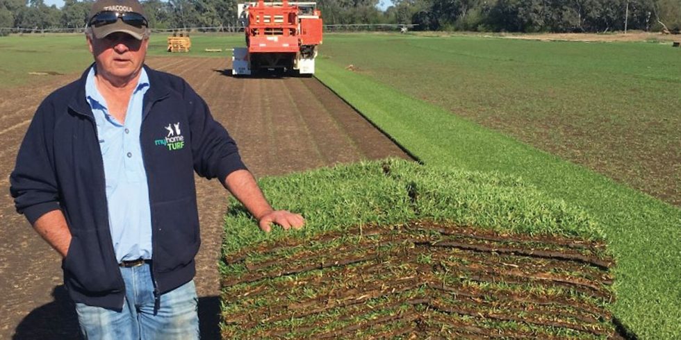 Teamwork & diversity deliver for Murrumbidgee grower | TurfBreed