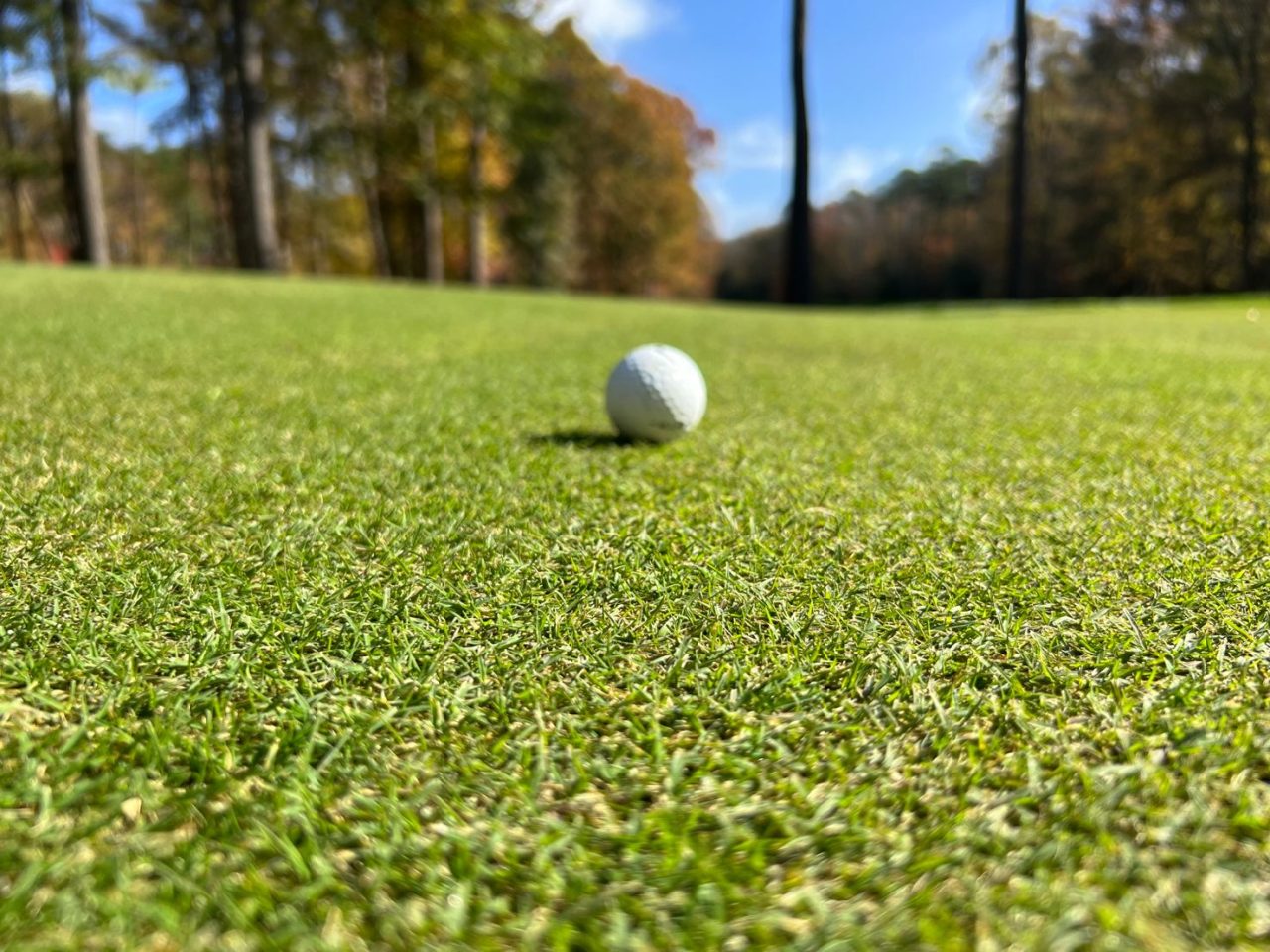 IronCutter™ – resetting the benchmark on turf performance | TurfBreed